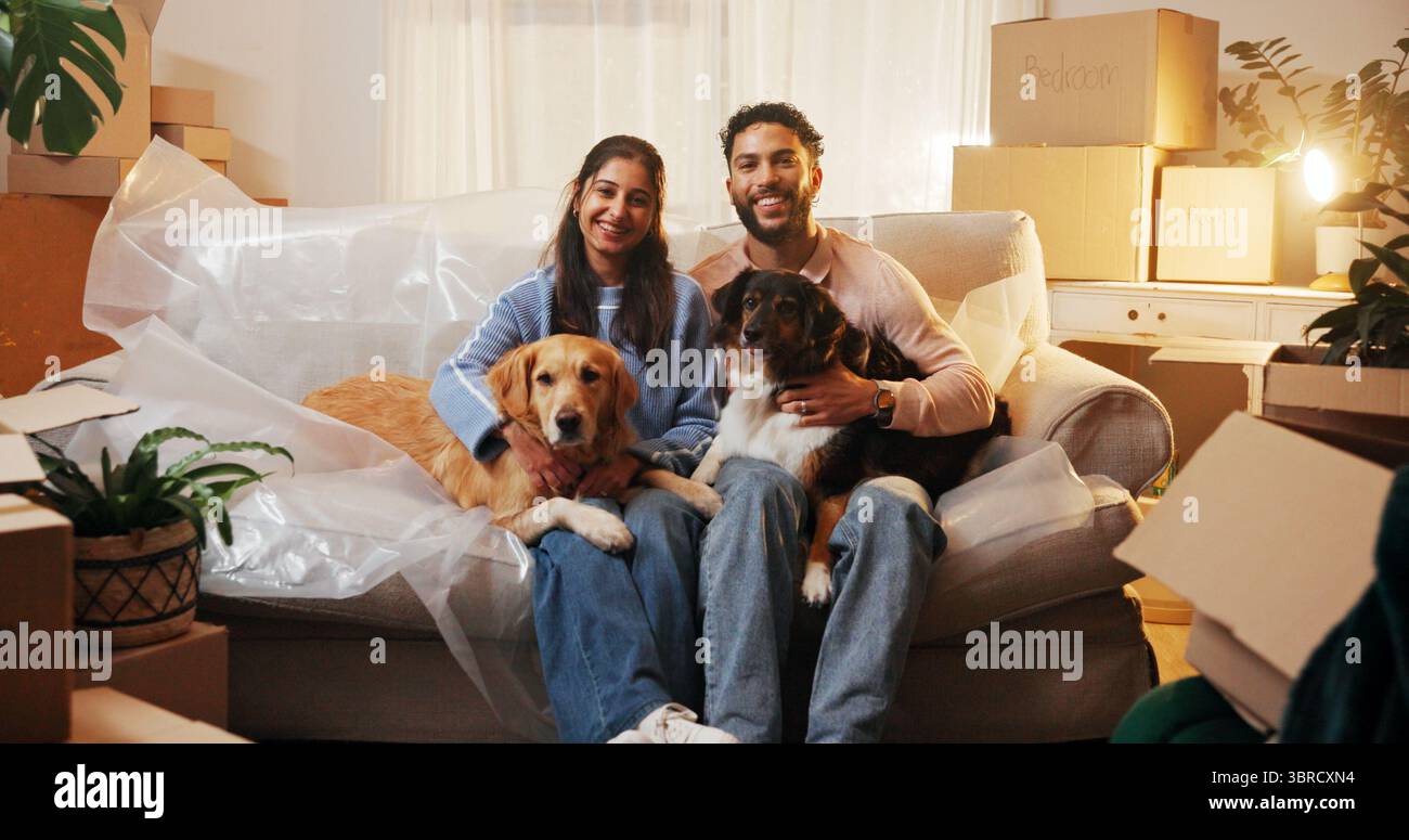 Couple, dogs and portrait on sofa in new house for mortgage success ...