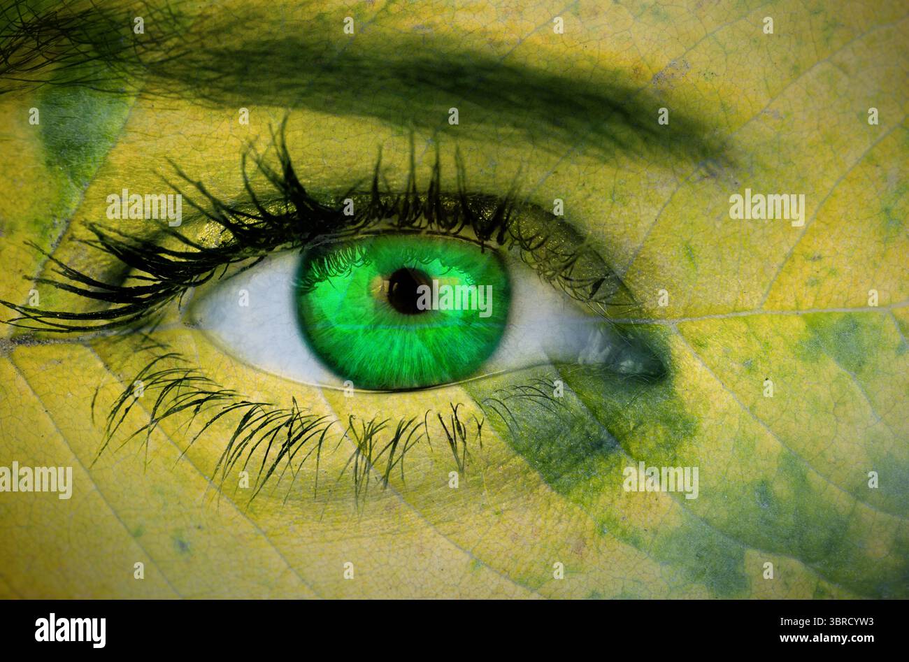 Human eye is being shown in flat design, blending green iris with leaf ...
