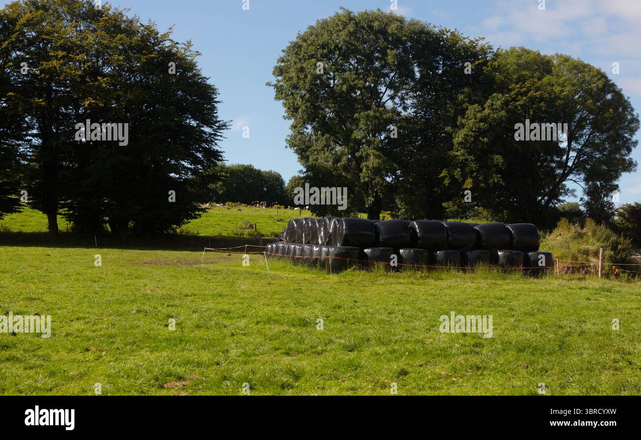 Stacked black plastic-wrapped hay bales are standing in flat design ...