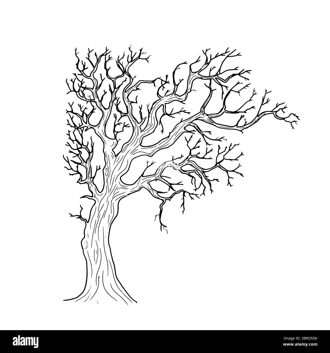 Giant tree in park Stock Vector Images - Alamy
