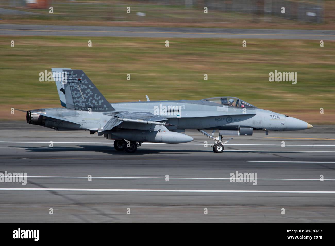 A North American Aerospace Defense Command CF-18 Hornet lands at Joint ...