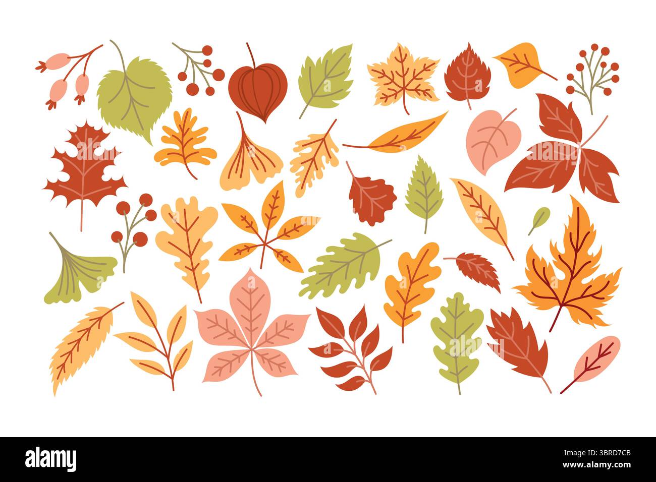 Set of autumn leaves, fallen leaves, hand drawn Stock Vector Image ...