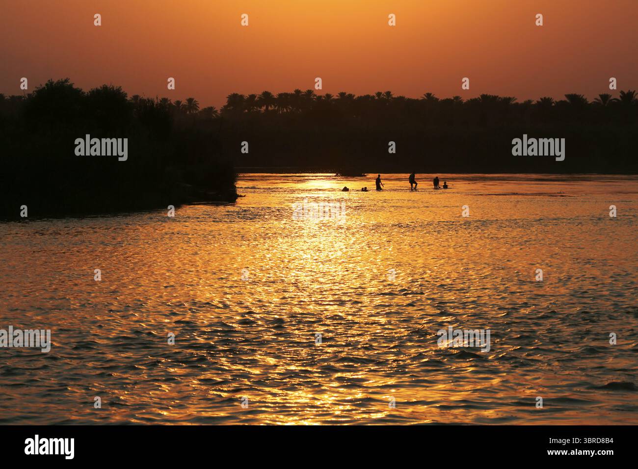 (250712) -- BAGHDAD, July 12, 2025 (Xinhua) -- People enjoy swimming in ...