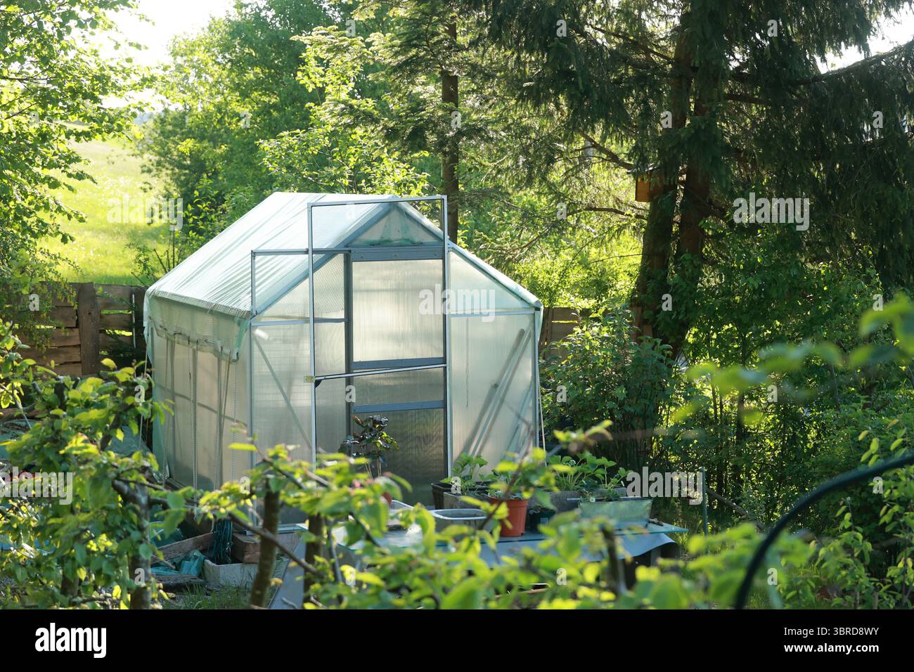 Surrounded by trees and plants hi-res stock photography and images - Alamy