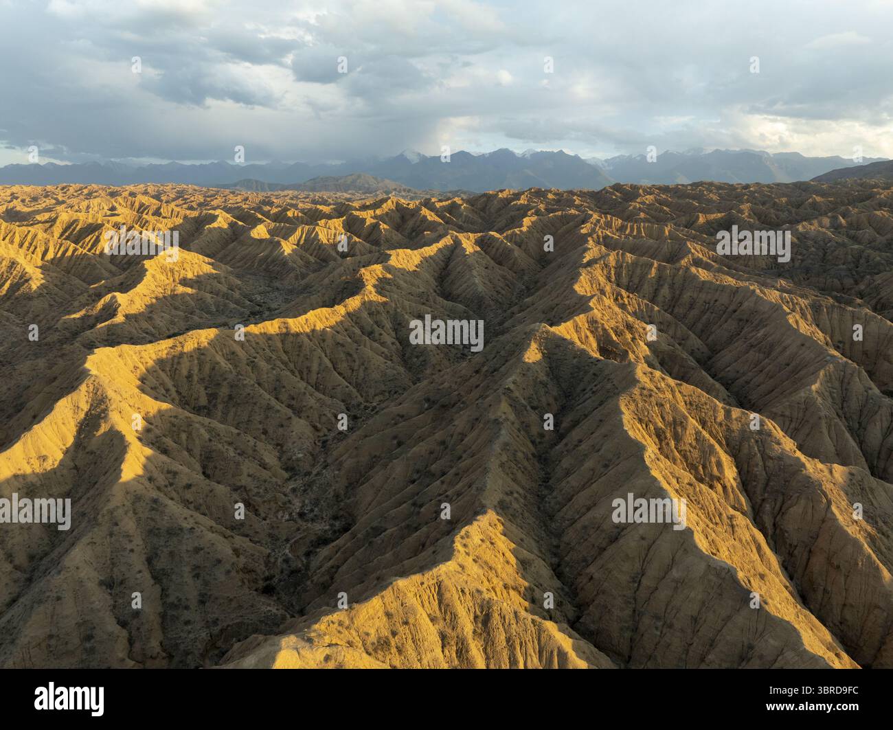 Aerial view of deeply eroded badlands glowing with warm light under a ...