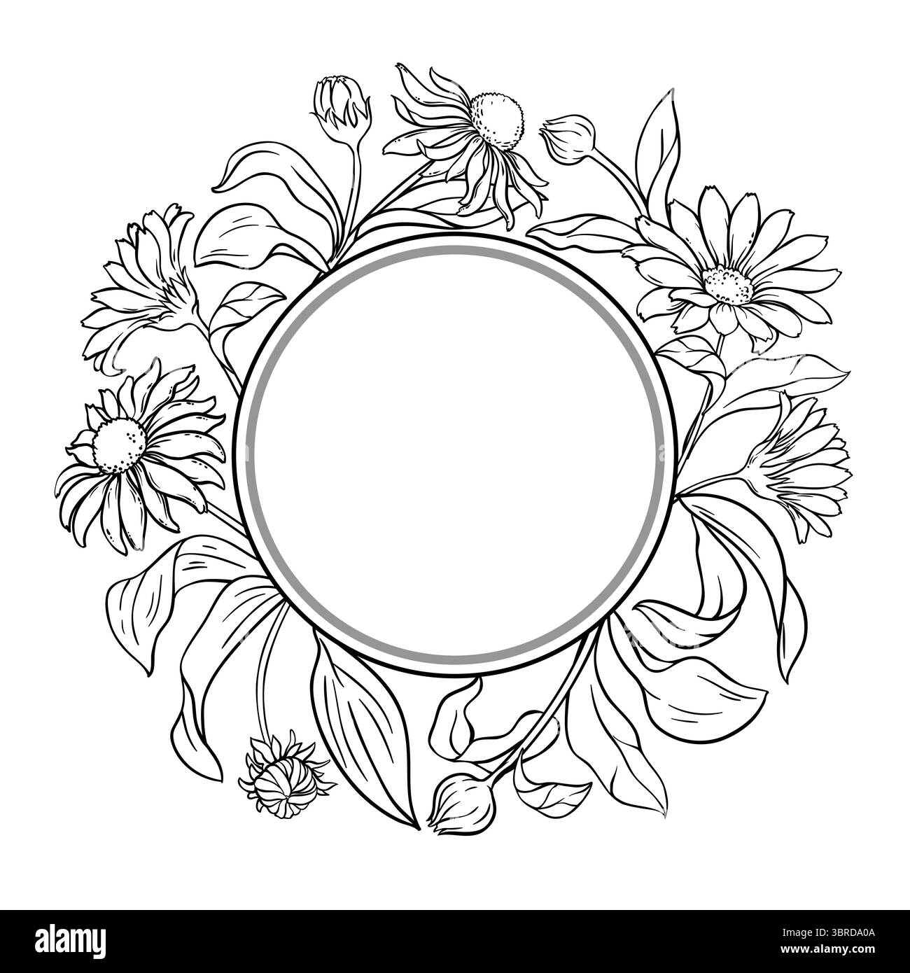 Outline flowers circle frame Black and White Stock Photos & Images - Alamy