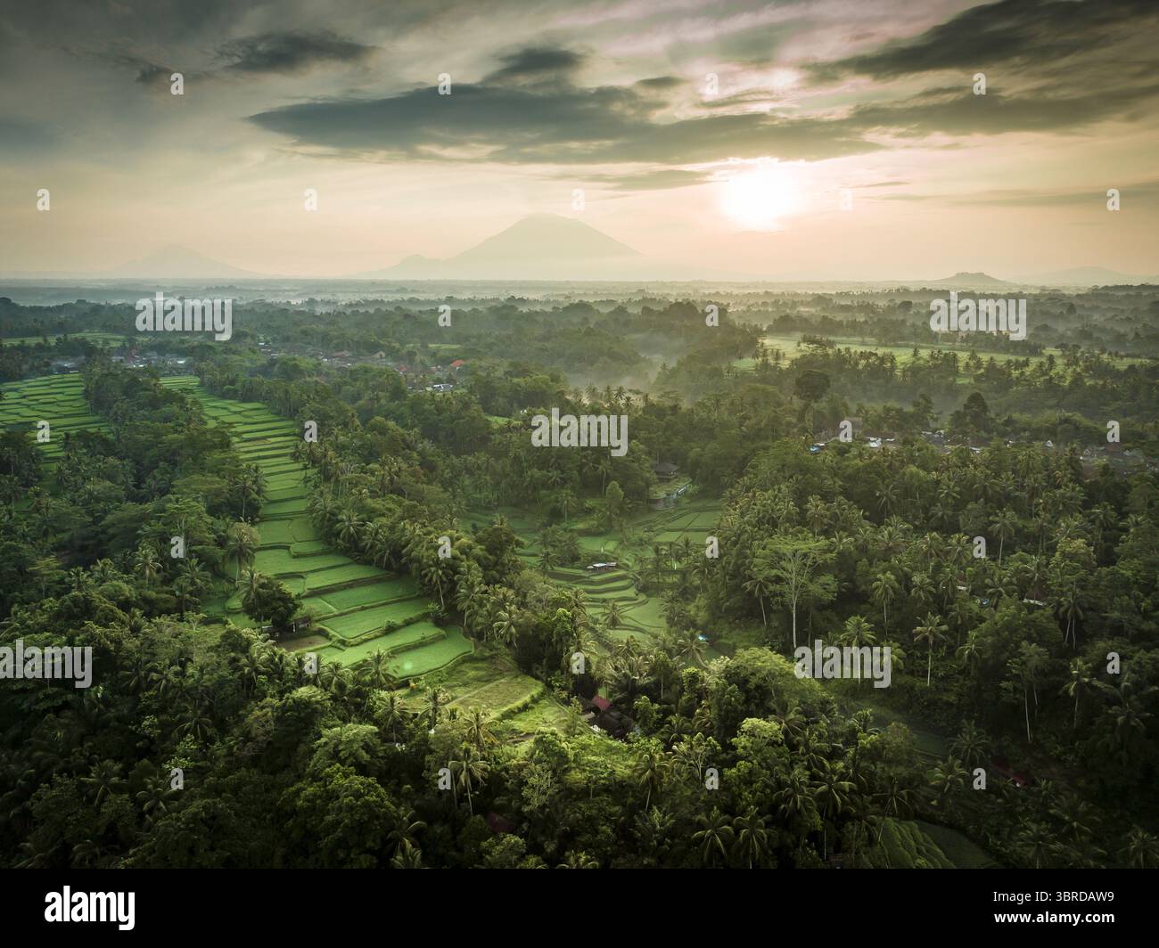 Aerial view of verdant rice terraces cascade through the lush jungle ...