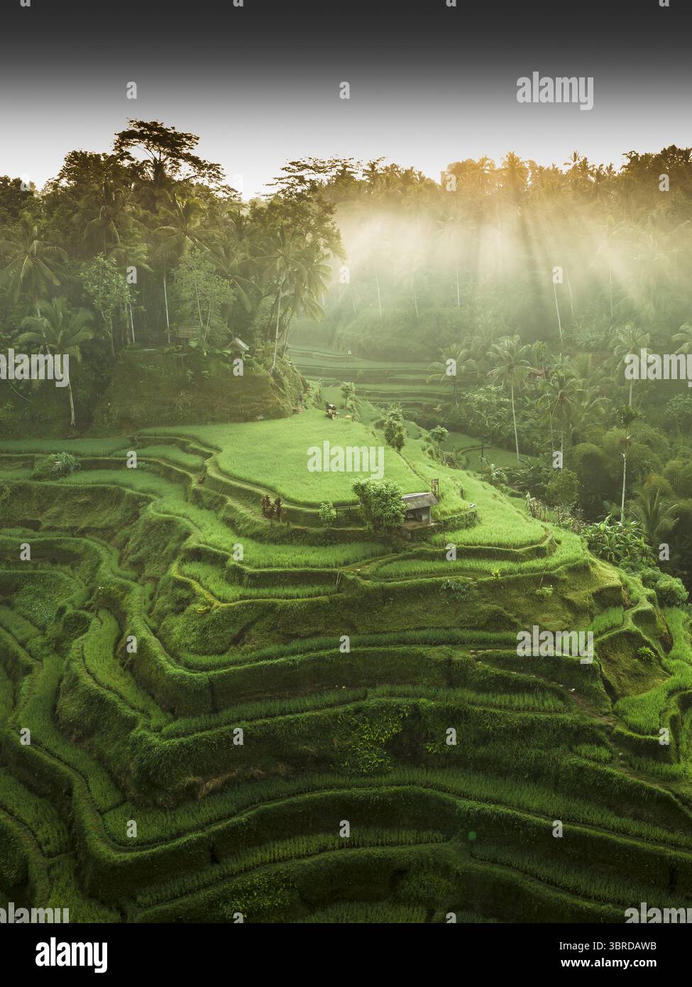 Aerial view of the sun's rays piercing through the mist over the ...