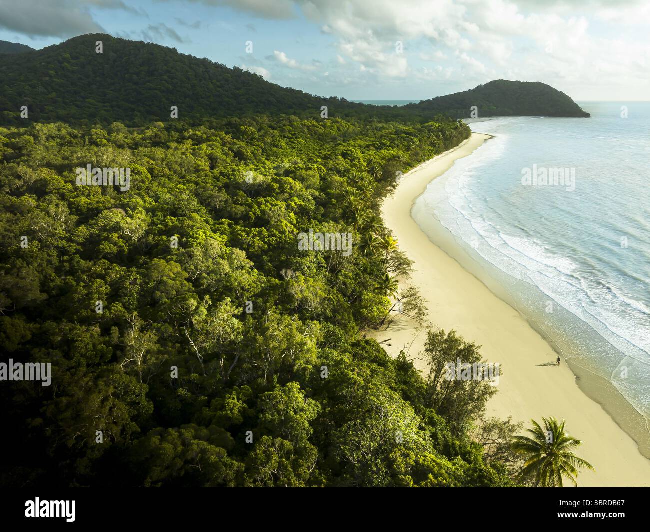 Aerial view of a pristine beach where the deep green rainforest meets ...