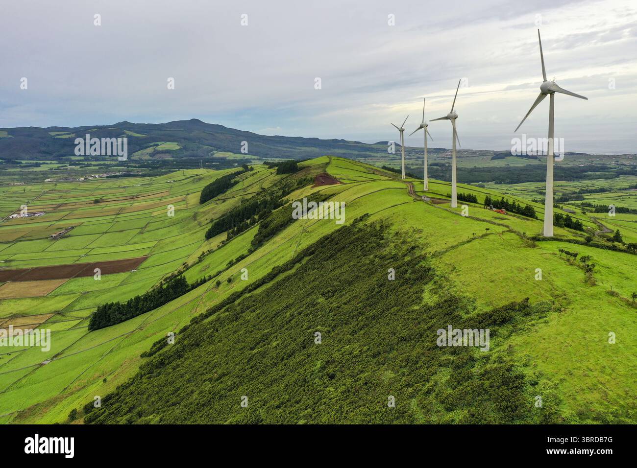 Aerial view of wind turbines standing tall on a vibrant green ridge ...
