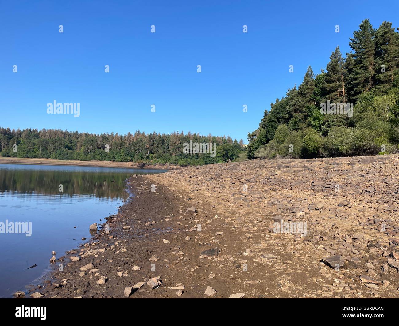 Low water levels at Yorkshire Water's Agden Reservoir, near Sheffield ...
