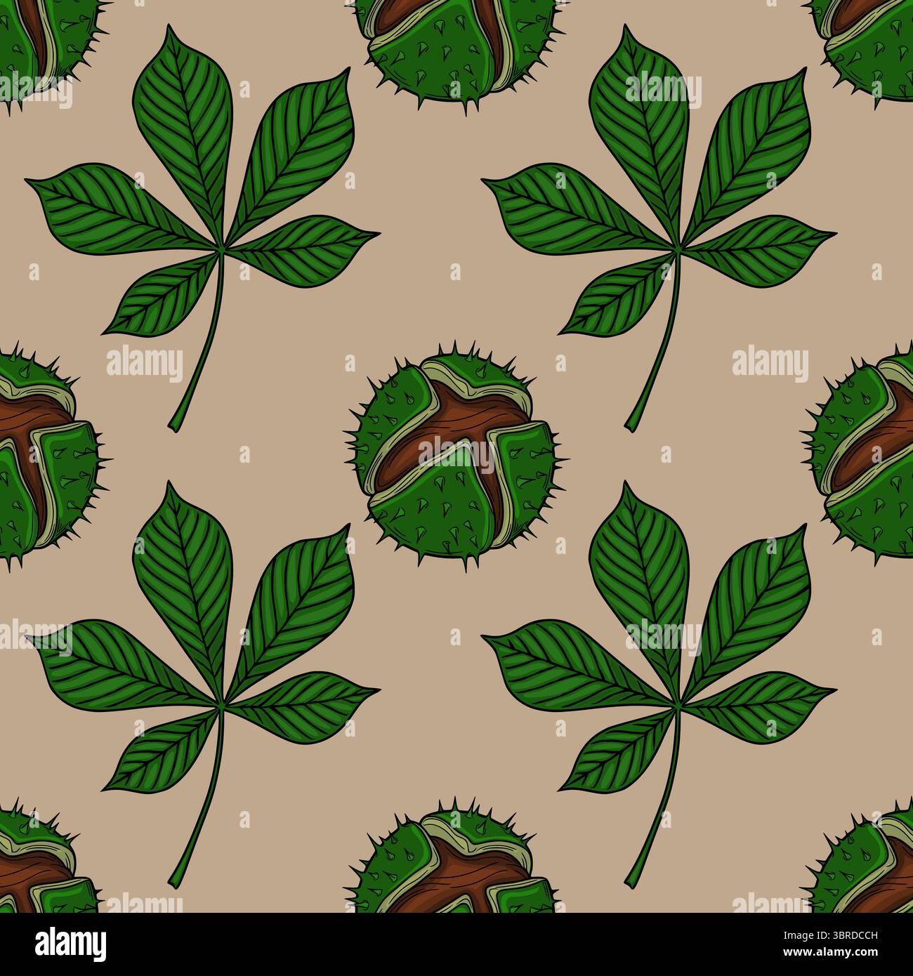 Chestnuts in burr Stock Vector Images - Alamy