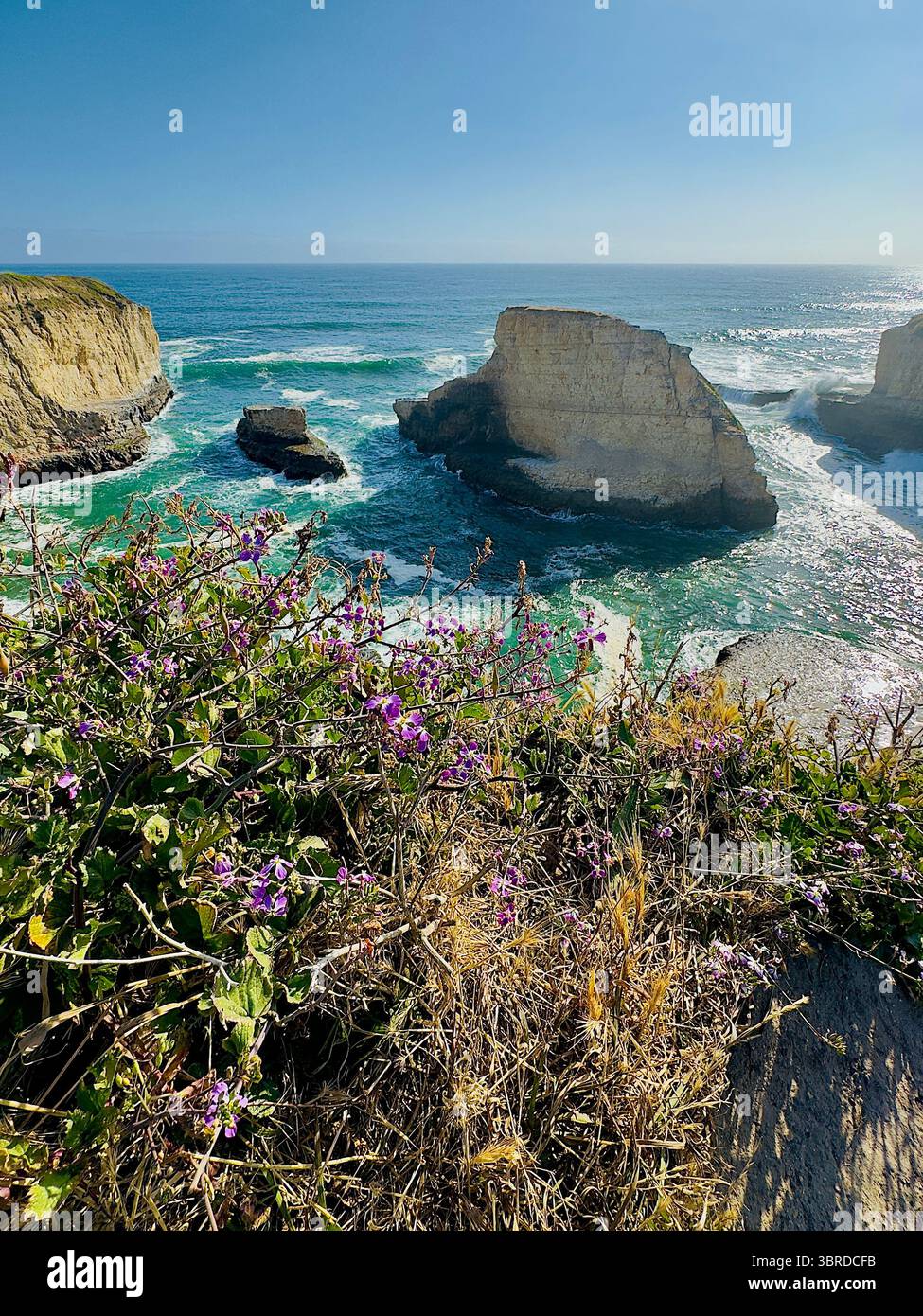 Santa Cruz Shark Fin Cove California Stock Photo - Alamy