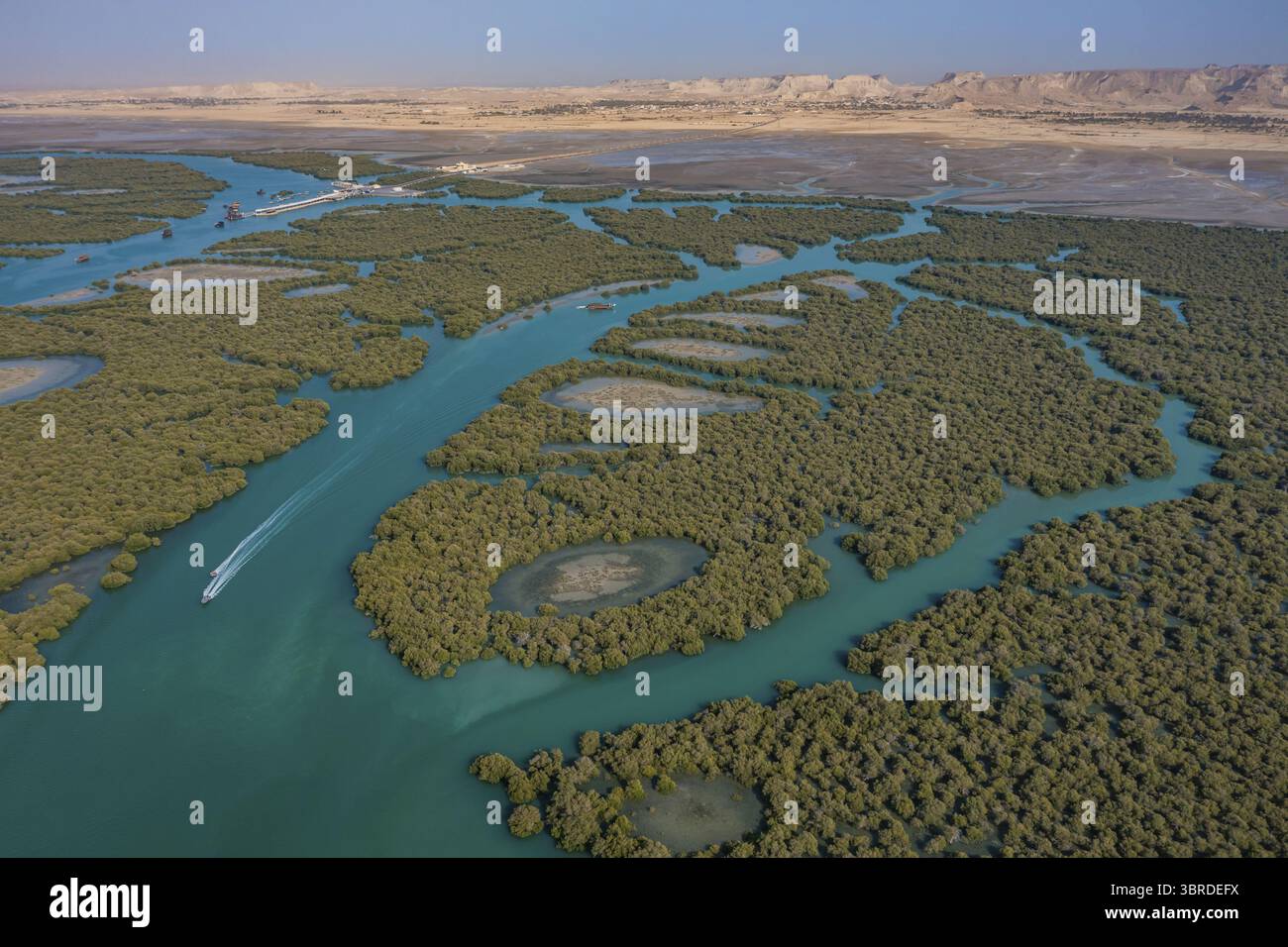 Aerial view of the winding turquoise waterways weave through the dense ...