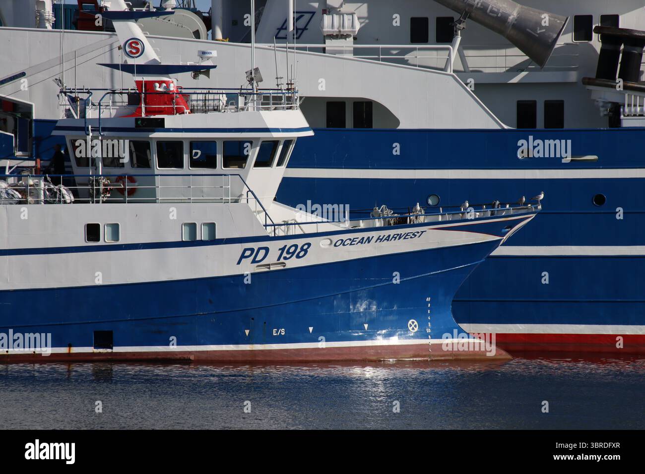 Fishing boats in Peterhead harbour Stock Photo - Alamy