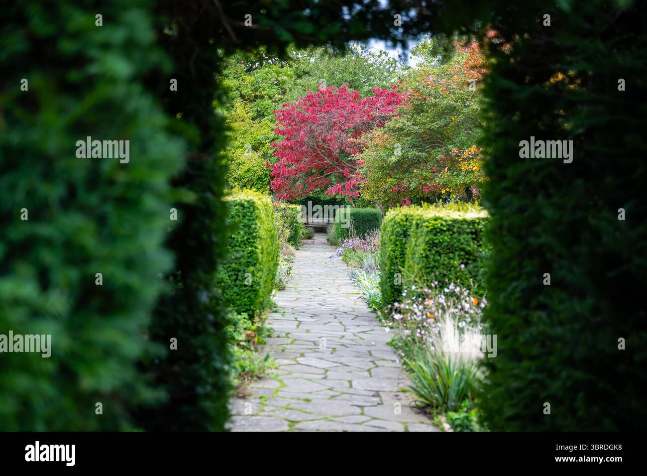 Brockwell Park, London Stock Photo - Alamy