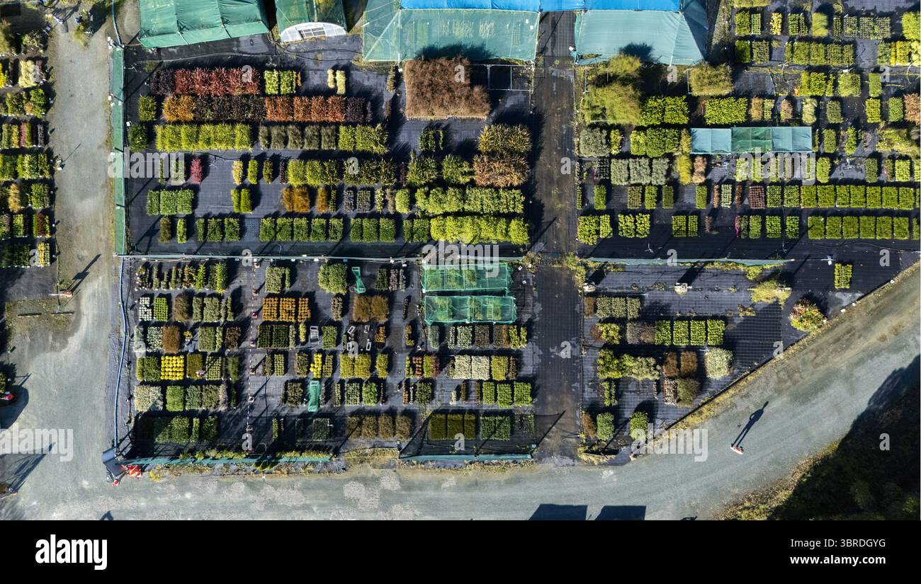 Aerial view of a grid of plant beds displaying a diverse range of ...