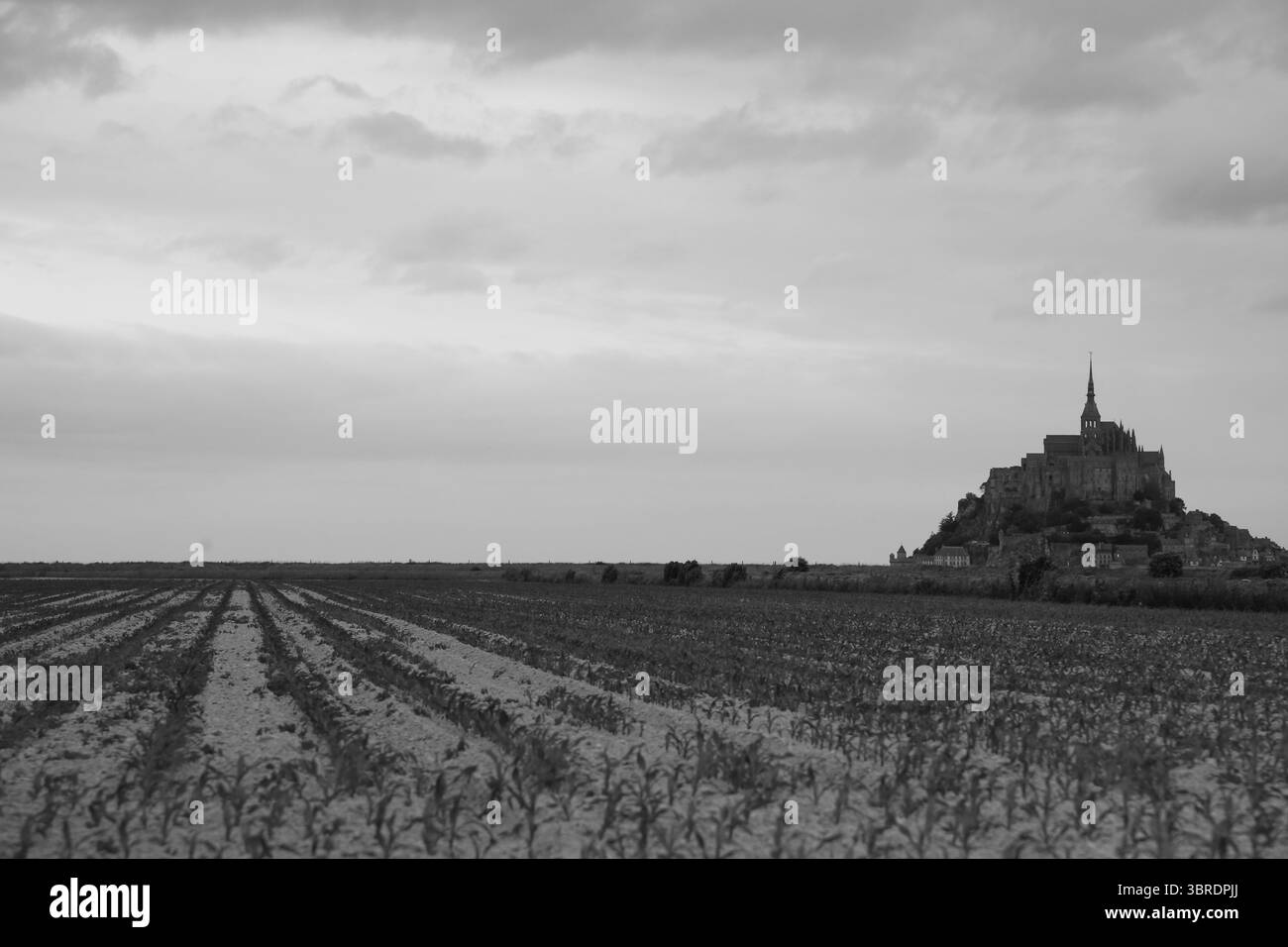 Rural scene in normandy Black and White Stock Photos & Images - Alamy