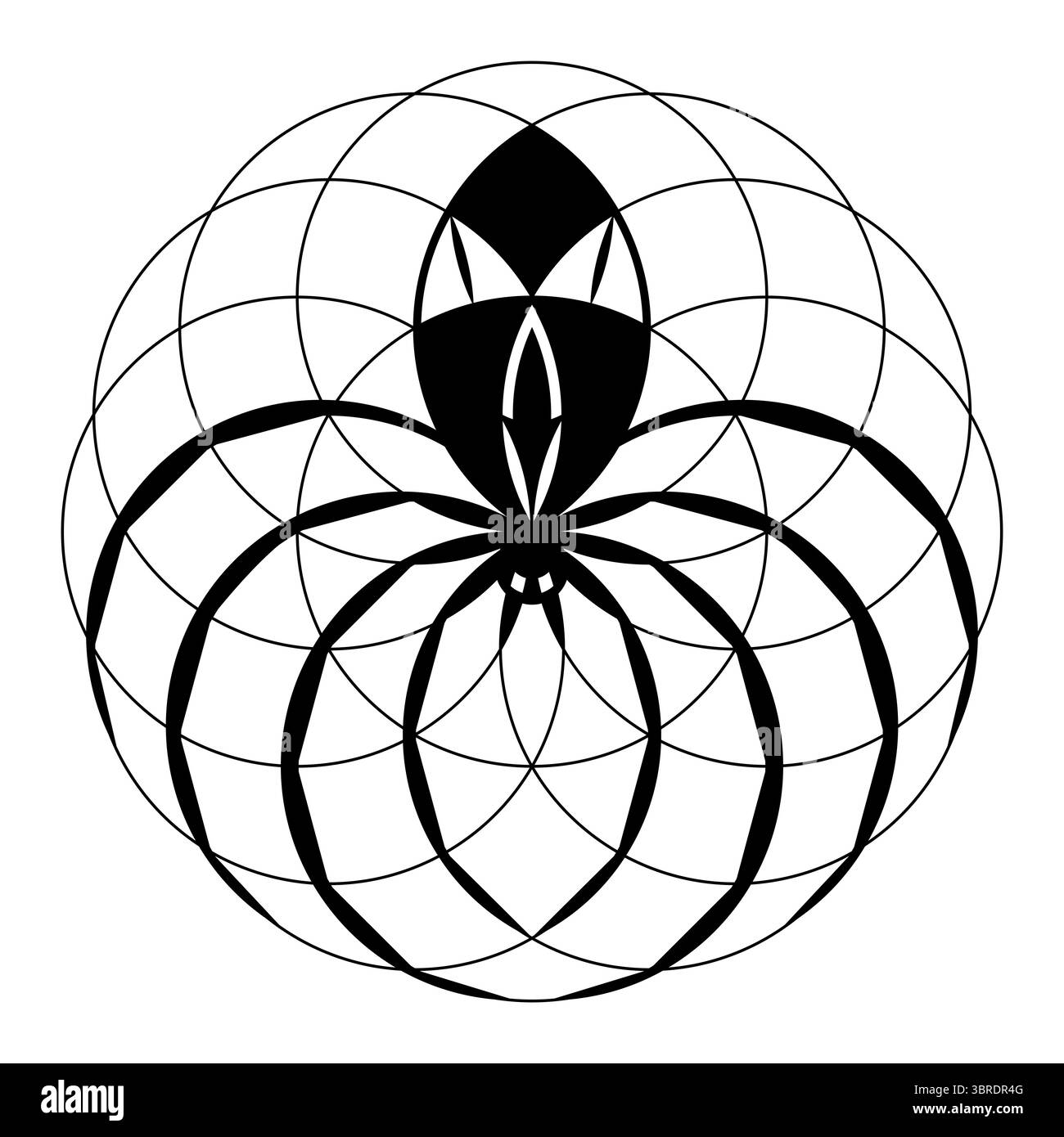 White spider web on black Cut Out Stock Images & Pictures - Alamy