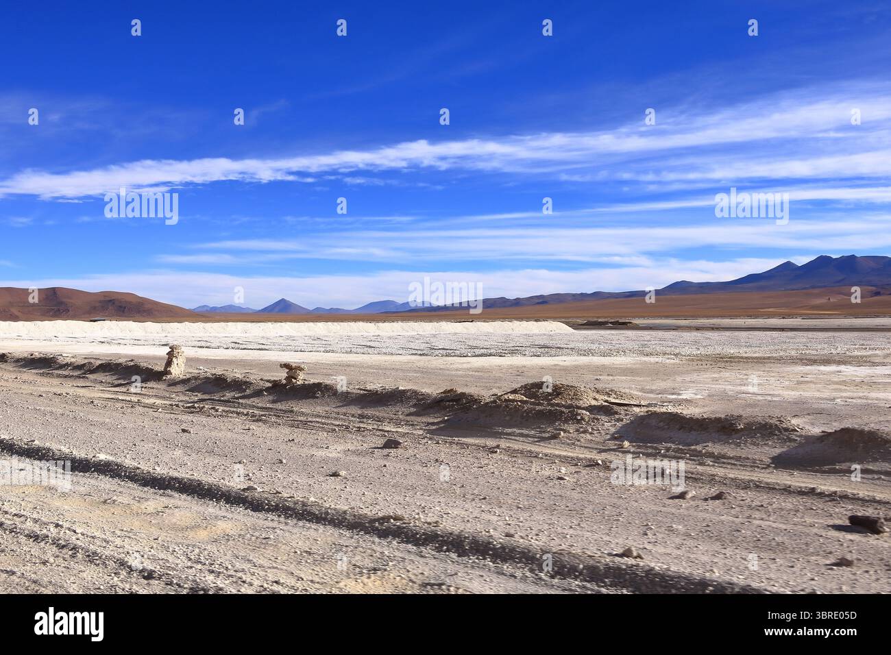 Bolivia, southwest of the Altiplano, Potosi Department. Laguna Capina ...