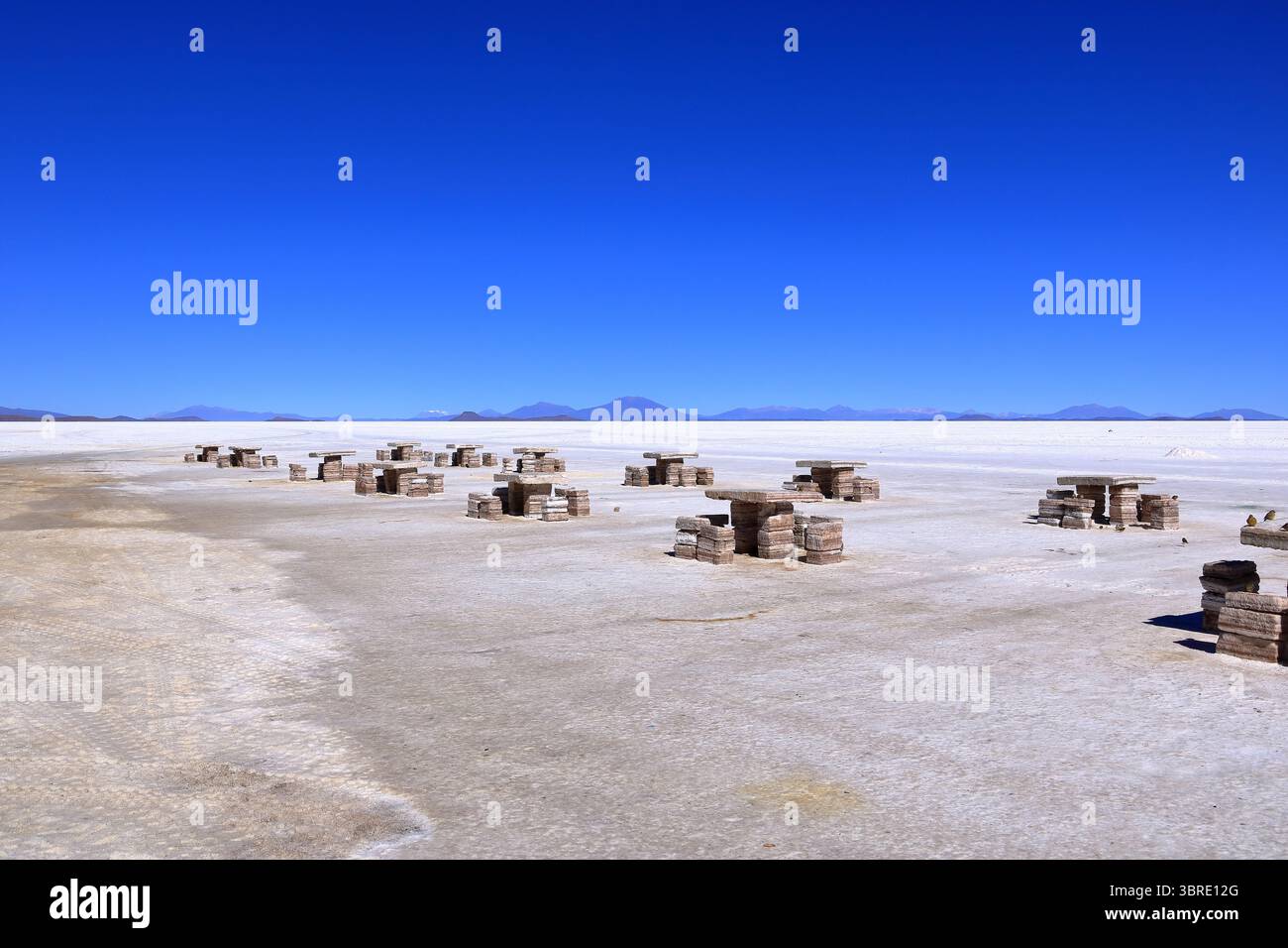 Table and Chairs made by salt beside the Isla Incahuasi, Cactus island ...