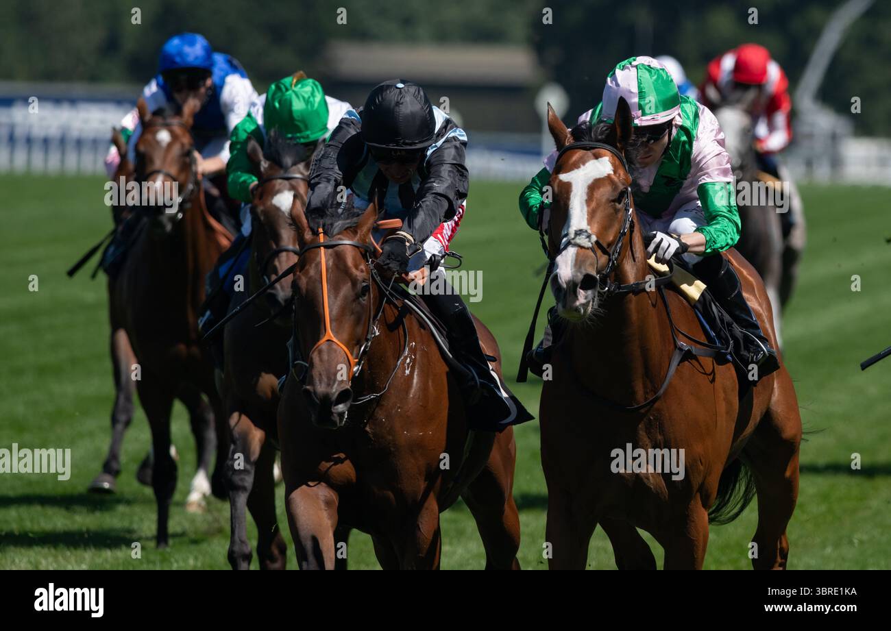 Juddmonte day hi-res stock photography and images - Alamy