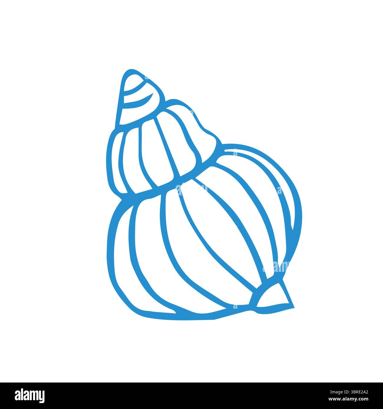Marine whimsical ink hand drawn seashell in blue color on the white ...