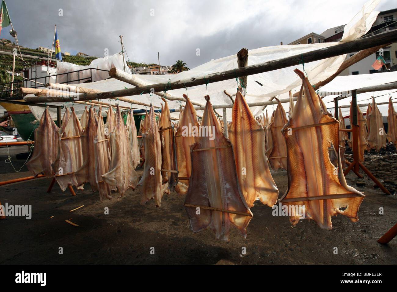 Fish drying in the sun and sea breeze in Câmara de Lobos, Madeira - a ...