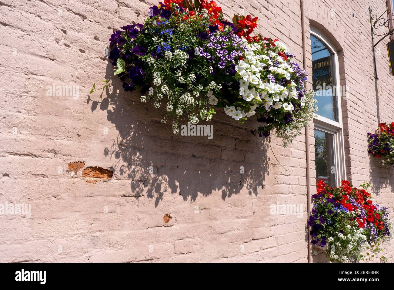 Window box planter with colorful flowers Stock Photo - Alamy