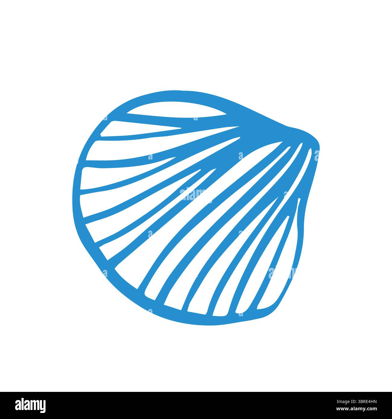 Coastal whimsical hand drawn shell isolated on the white background ...