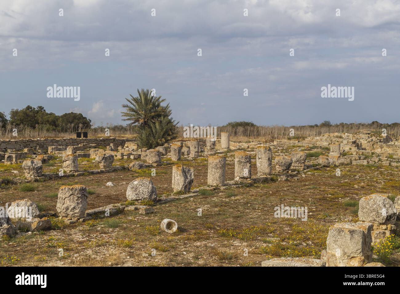 View of ancient ruins scattered across the sun-baked earth, whispers of ...