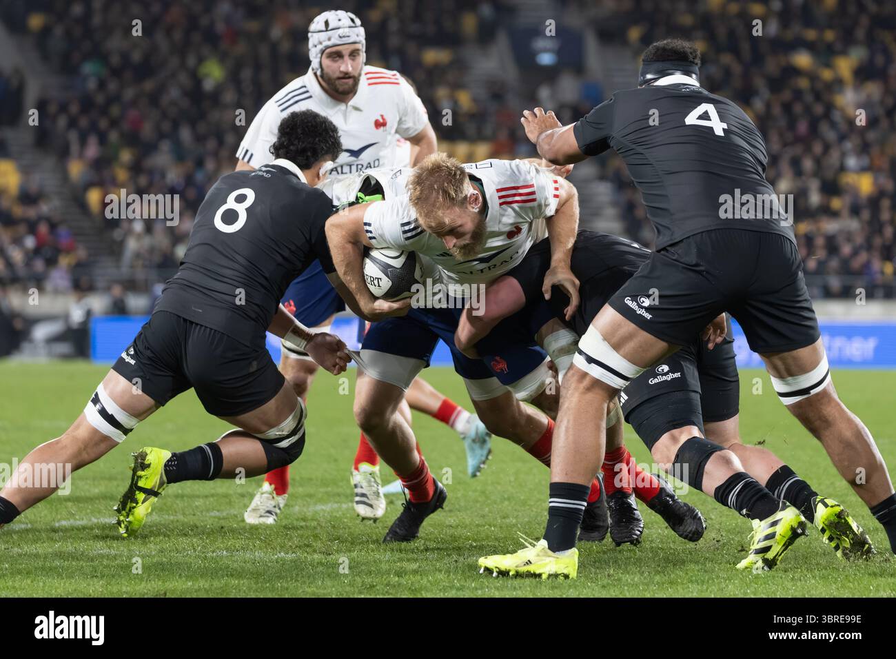 Dave gallaher trophy hi-res stock photography and images - Alamy