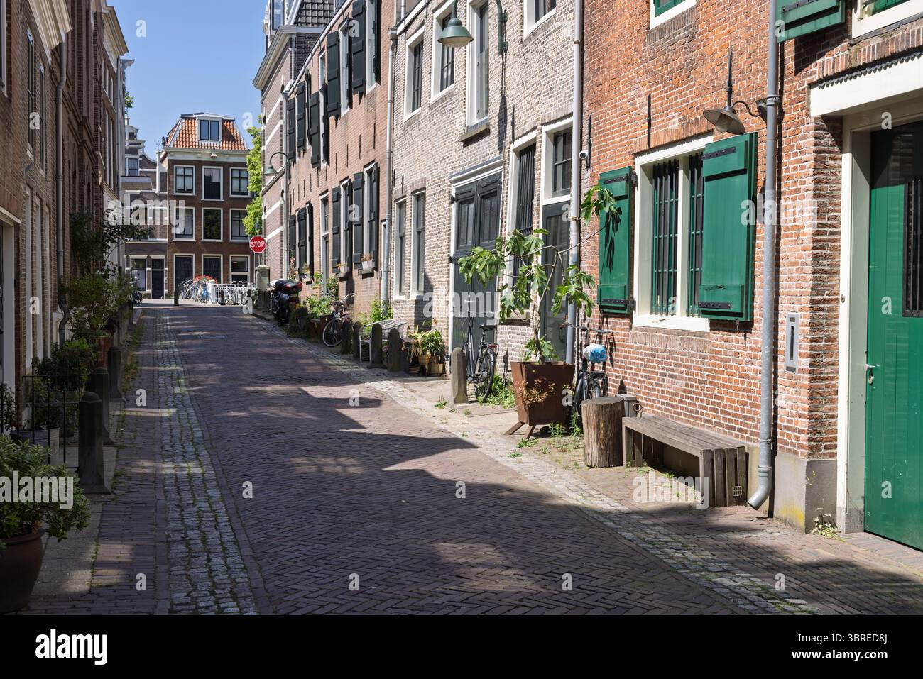 Quiet, sunny street in a historic Dutch city Gouda, lined with ...