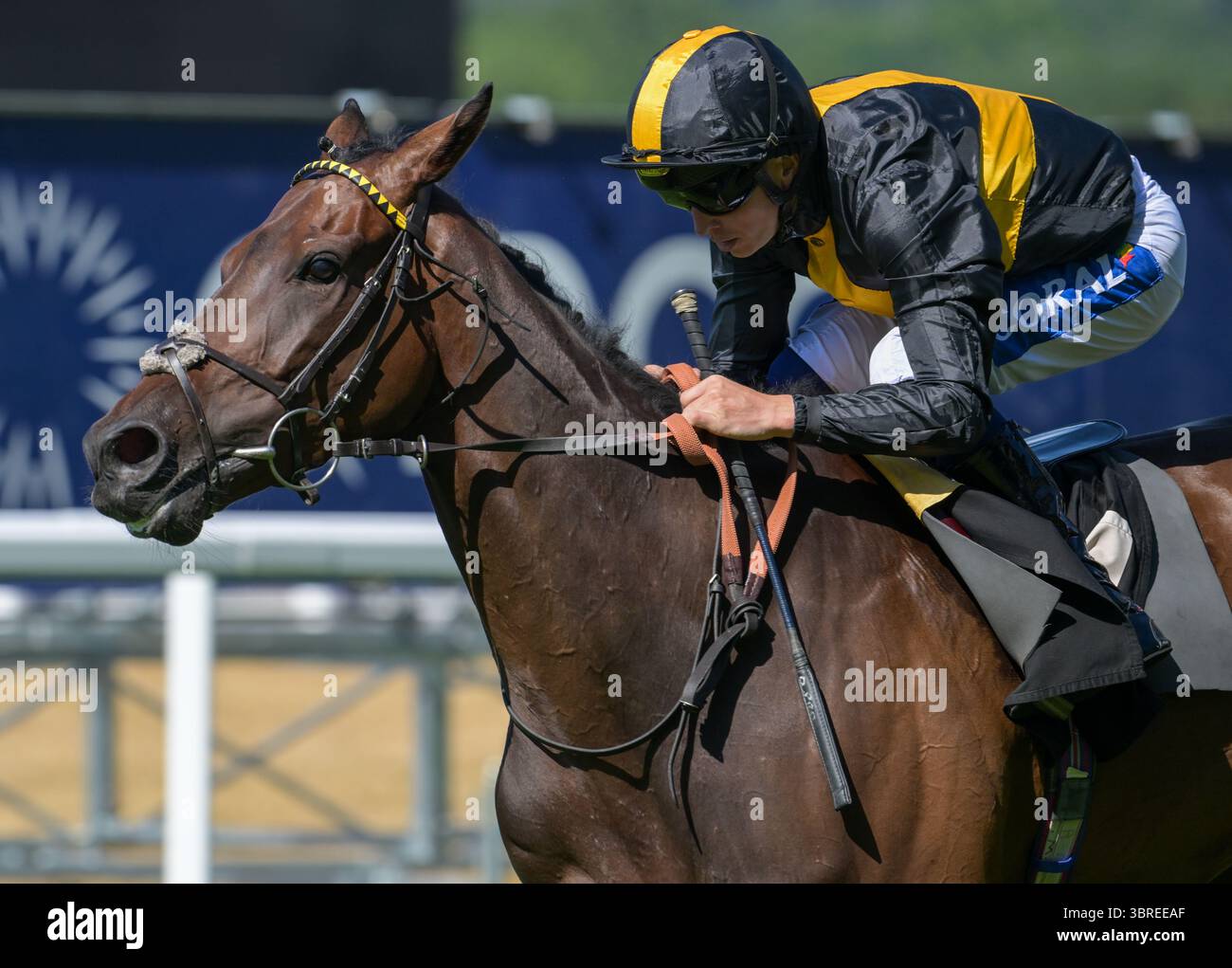 Ascot Racecourse, Berkshire, England. 12 July, 2025. Mount Atlas ridden ...