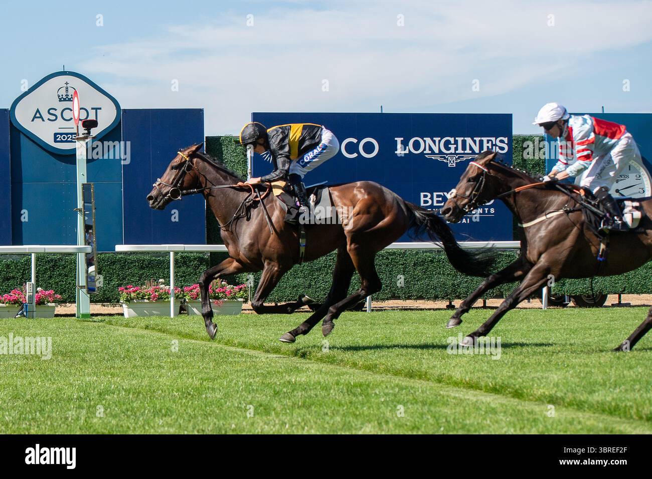 The racing to zero summer mile family raceday 2025 hi-res stock ...