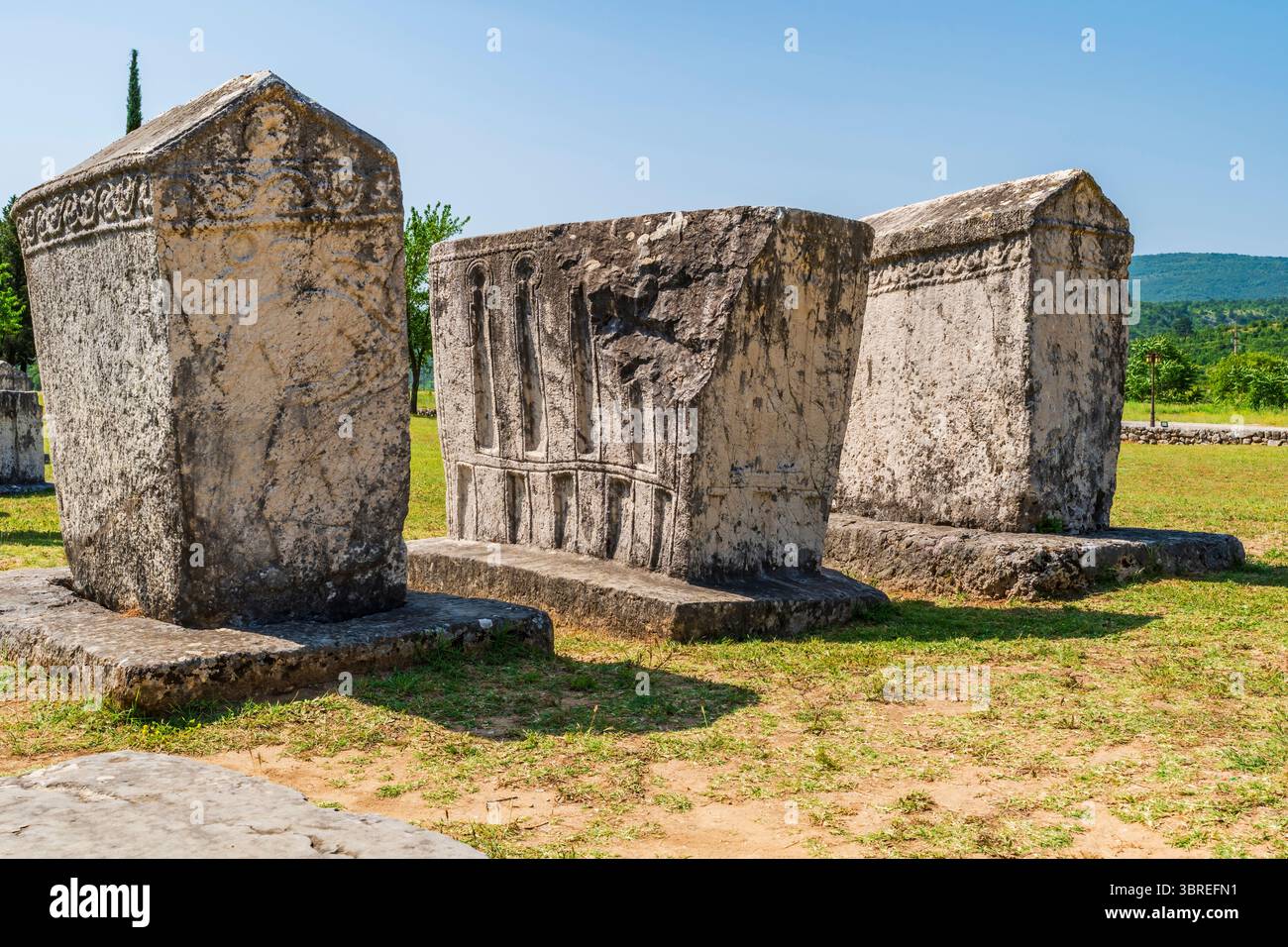 Tombstones (known as stecci) in Radimlja necropolis - a medieval ...