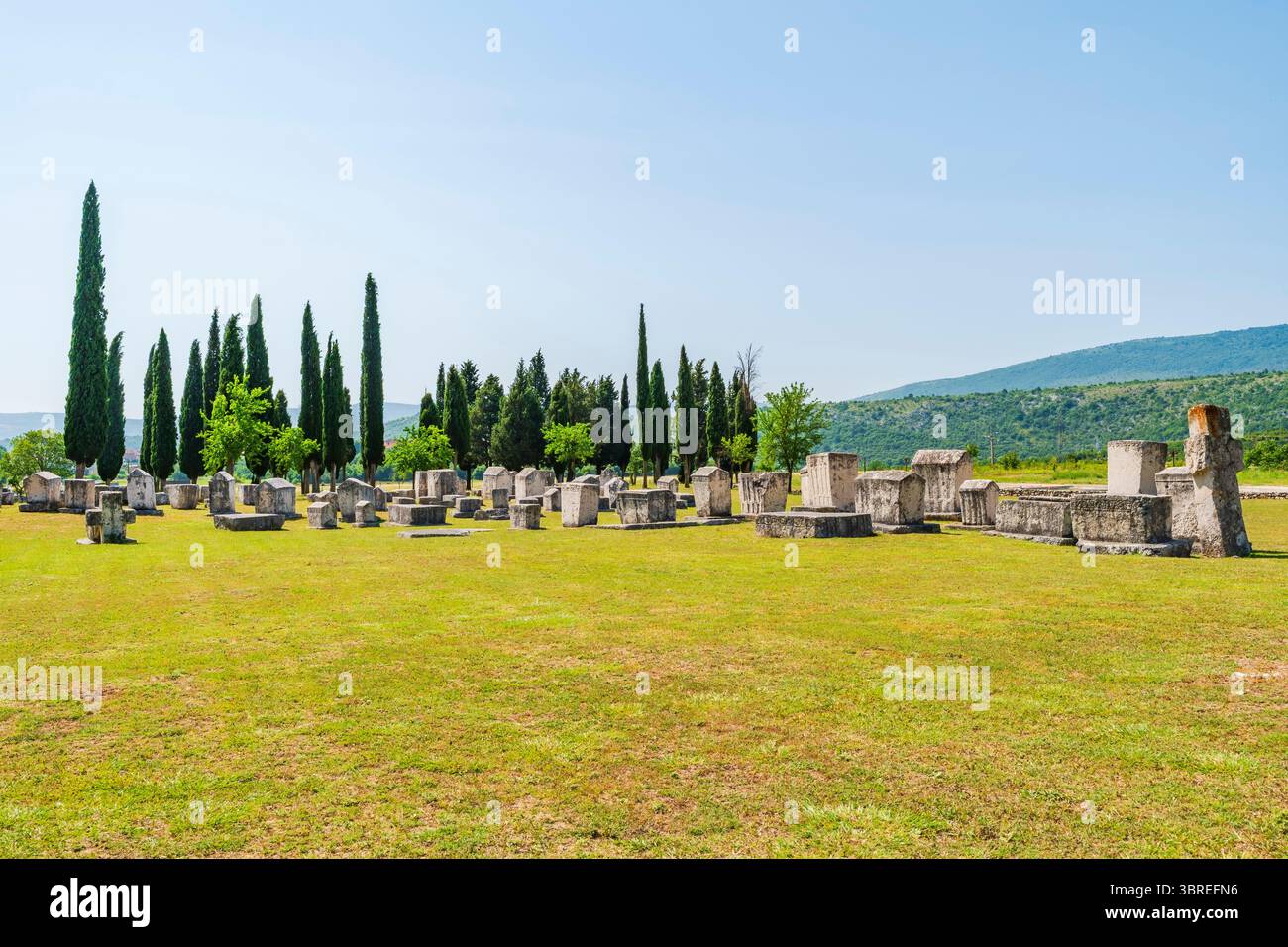 Tombstones (known as stecci) in Radimlja necropolis - a medieval ...