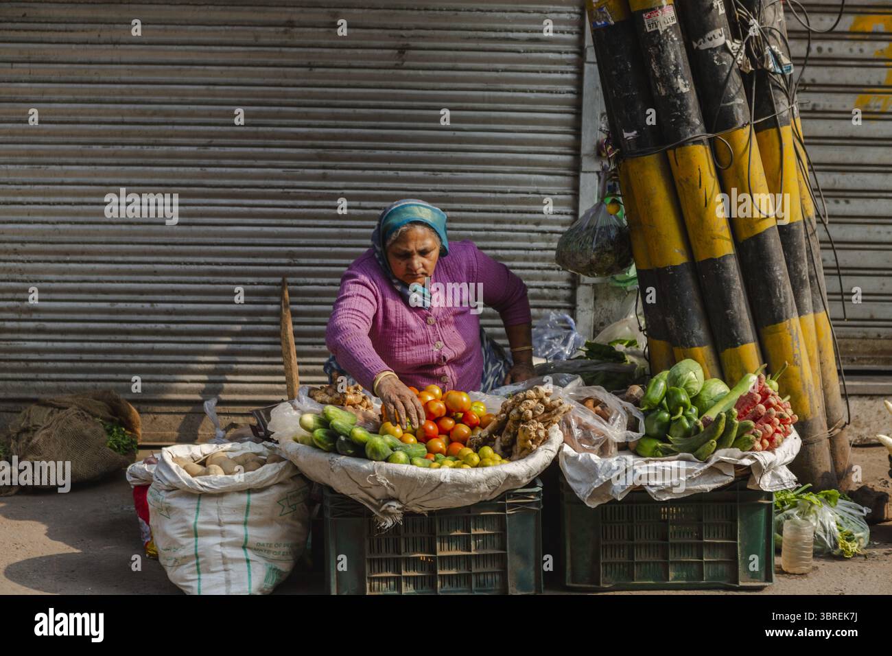 New Delhi, India - 24 June 2025: View of a vibrant street vendor ...