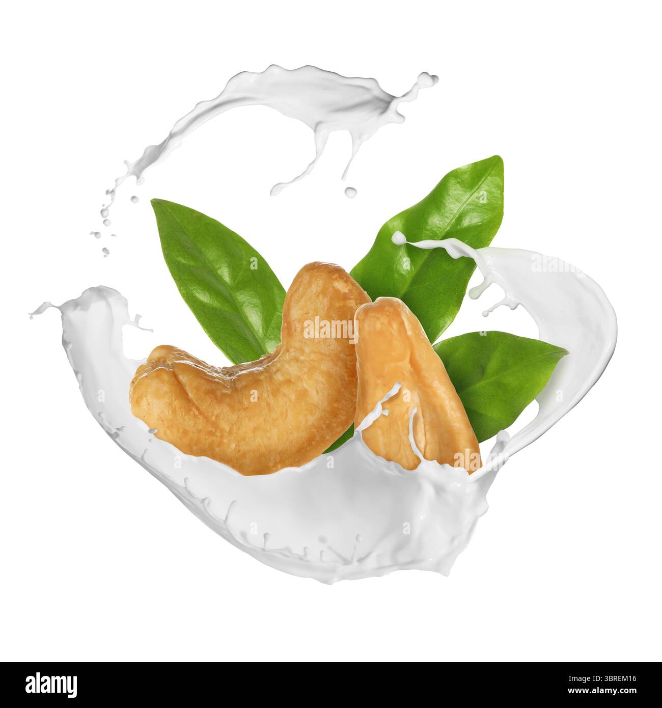 Milk nut splash, cashews and green leaves against white background ...