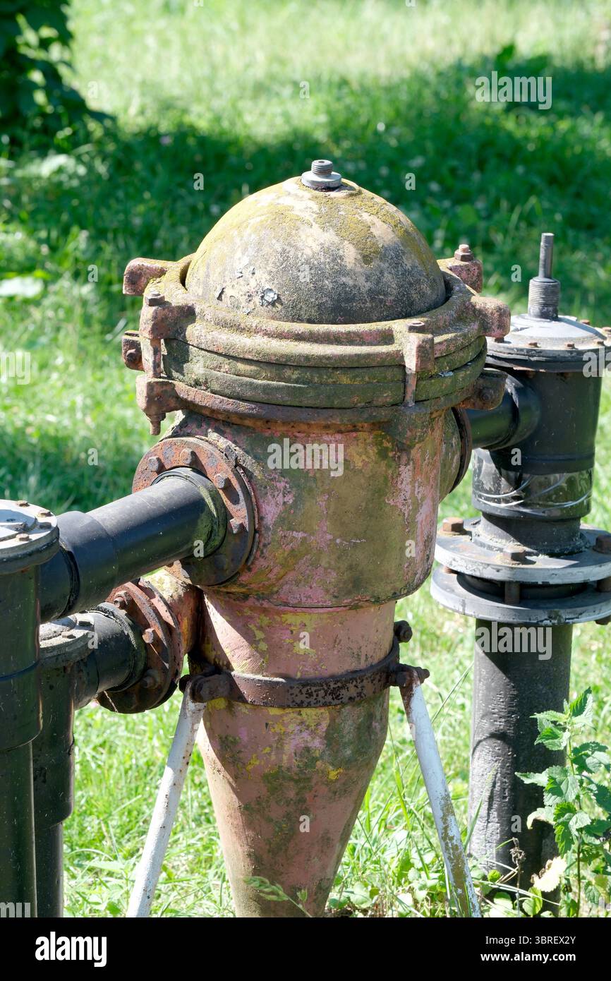 A historical fire hydrant showcases rust and moss while surrounded by ...
