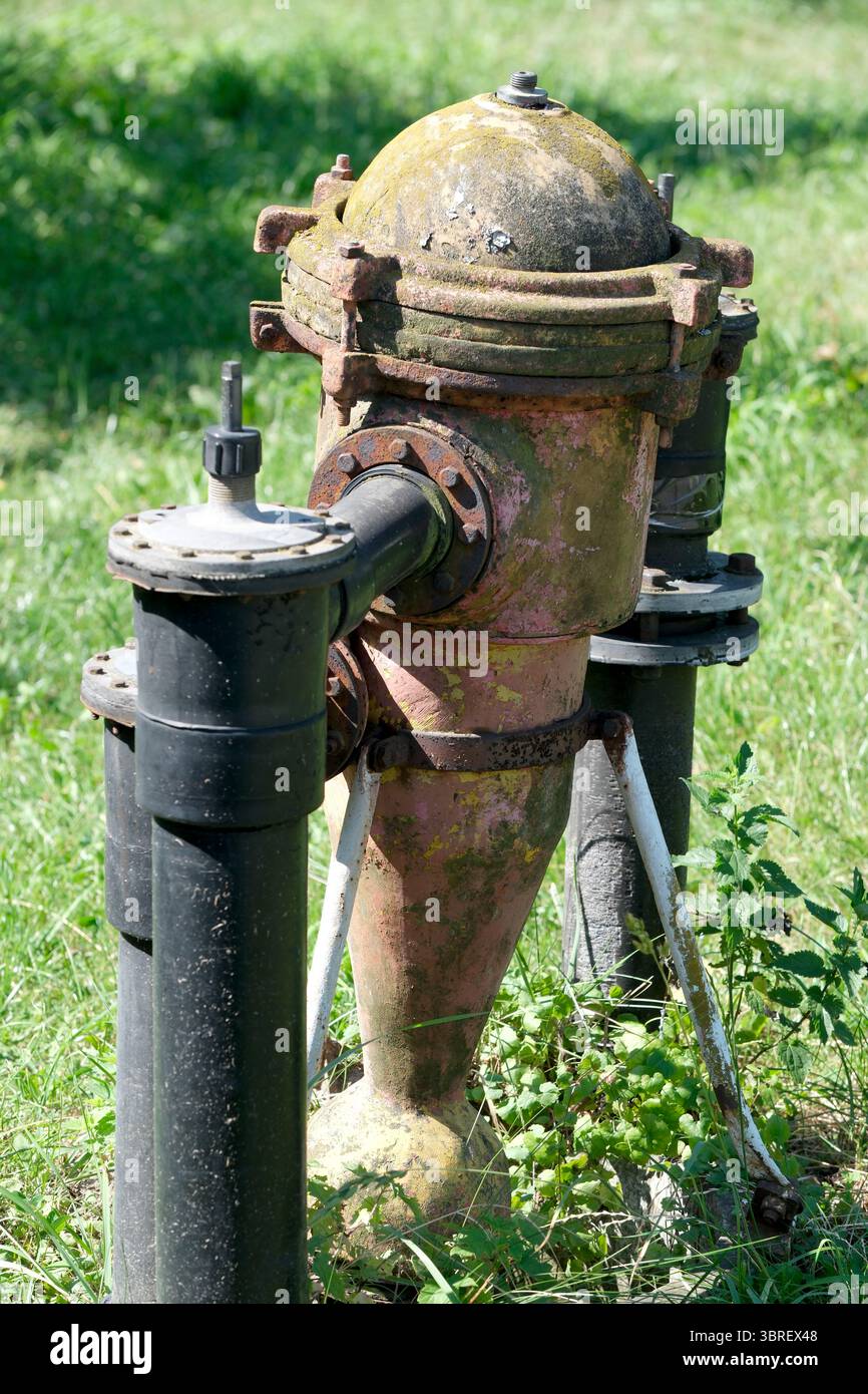 Rusty fire hydrant stands proudly in vibrant green grass under clear ...