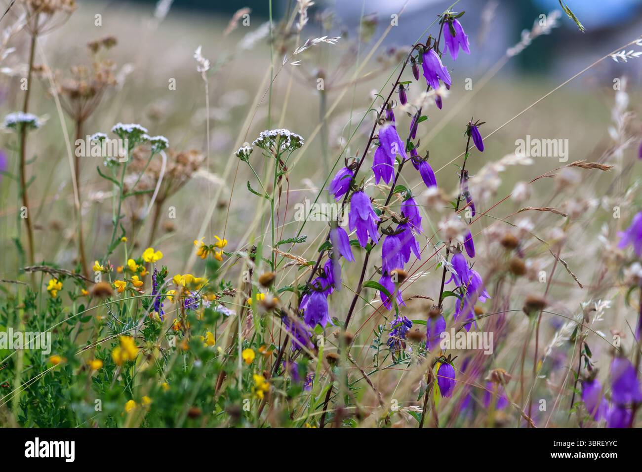 Mid shot criss cross hi-res stock photography and images - Alamy