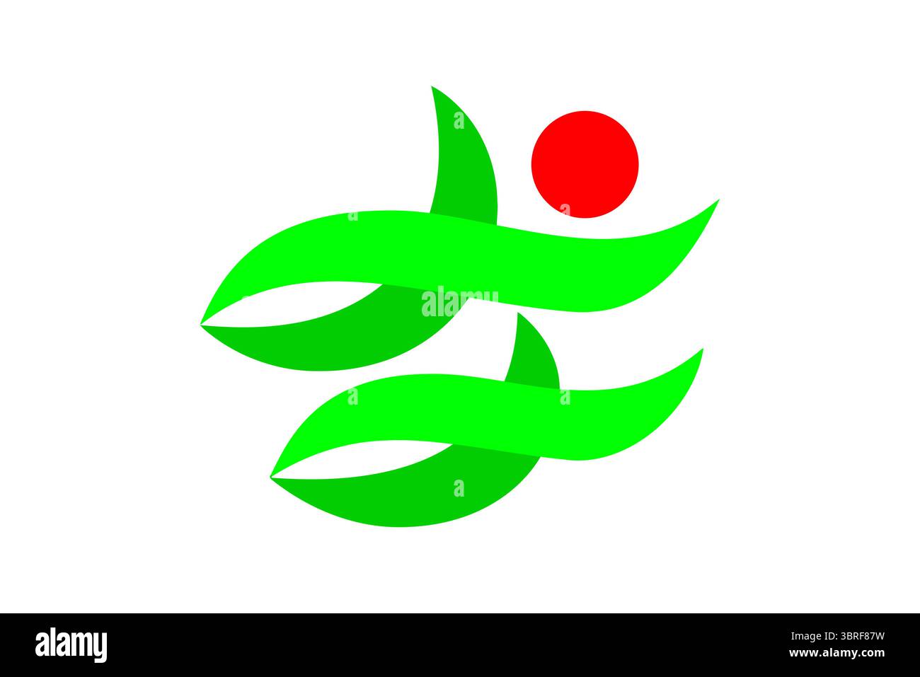 Flag of Nantan, Kyoto, Japan – official municipal flag with stylized ...