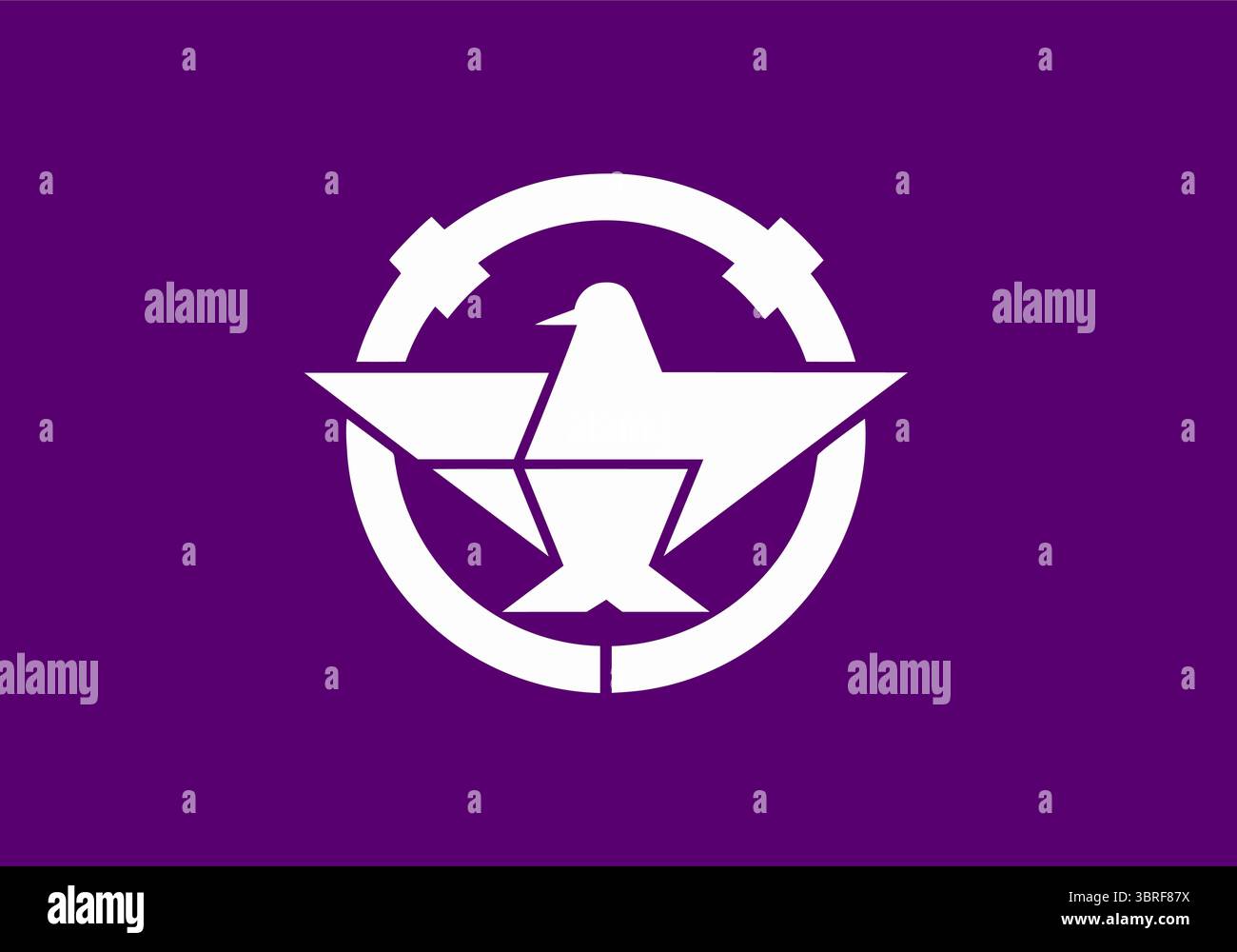 Flag of Ibaraki, Osaka – Official city flag featuring a white stylized ...