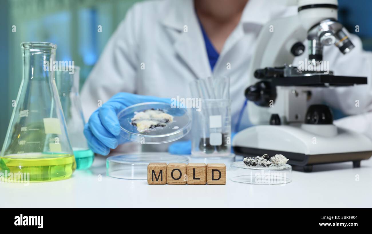 Comprehensive Examination of Mold in Laboratory Settings through ...