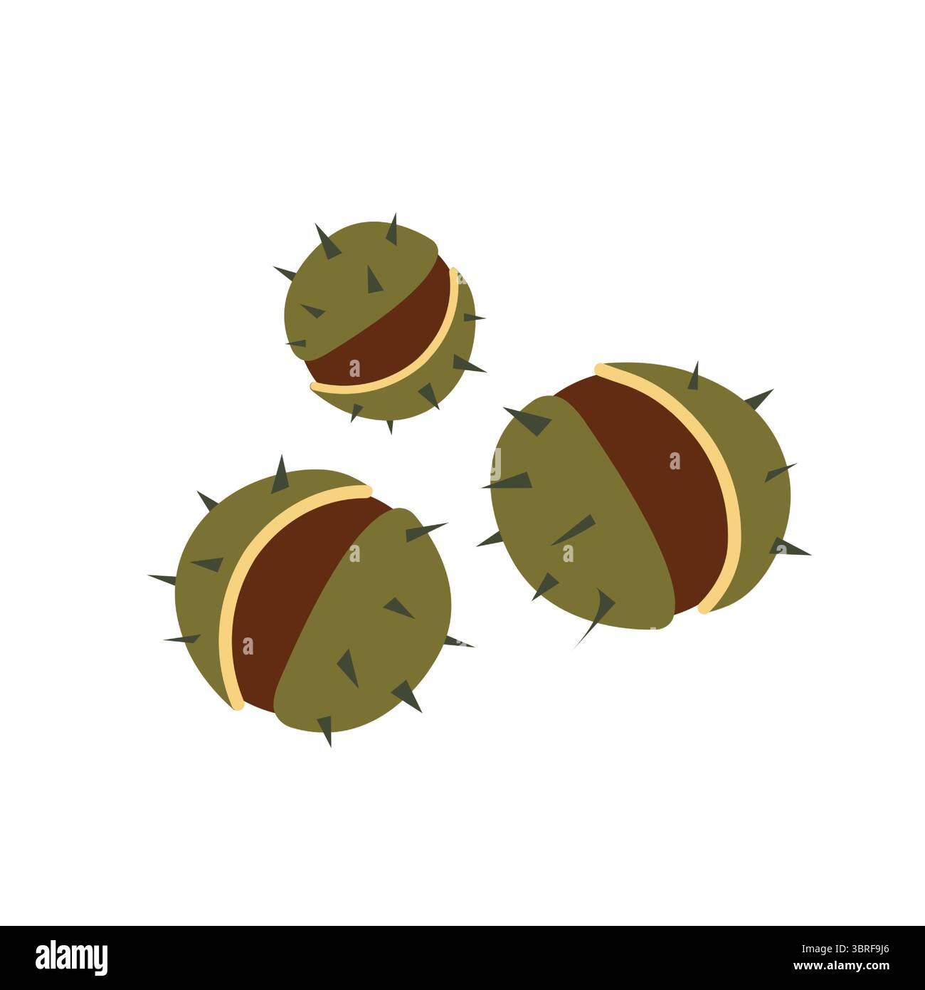 Patterns in autumn leaves Stock Vector Images - Alamy