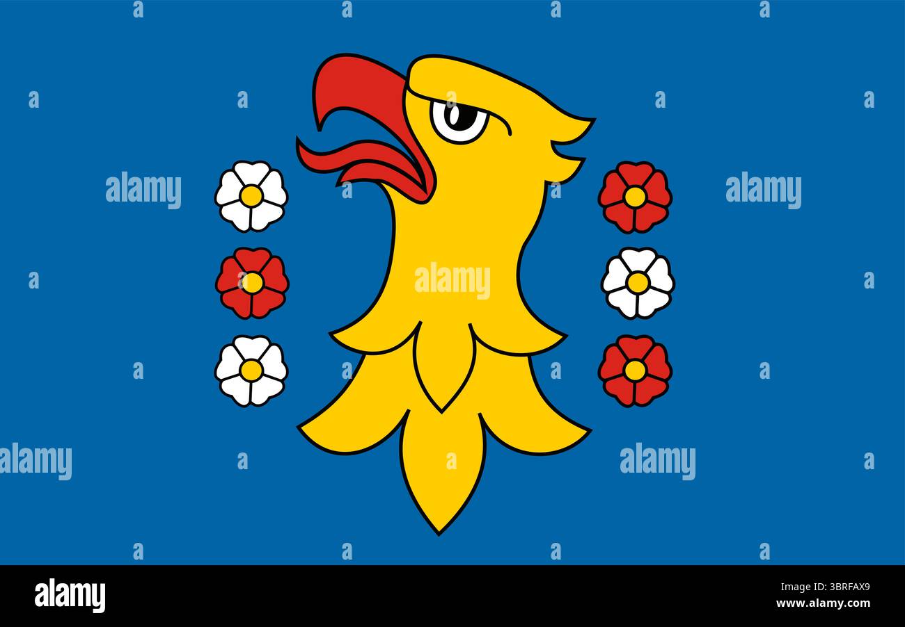 Flag of Pshchyna County, Poland – official regional flag featuring ...