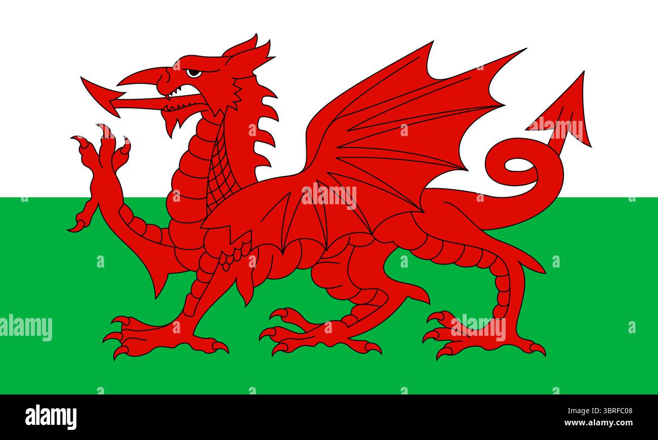 Flag of Wales, official red dragon on green and white field, national symbol of Welsh identity ...