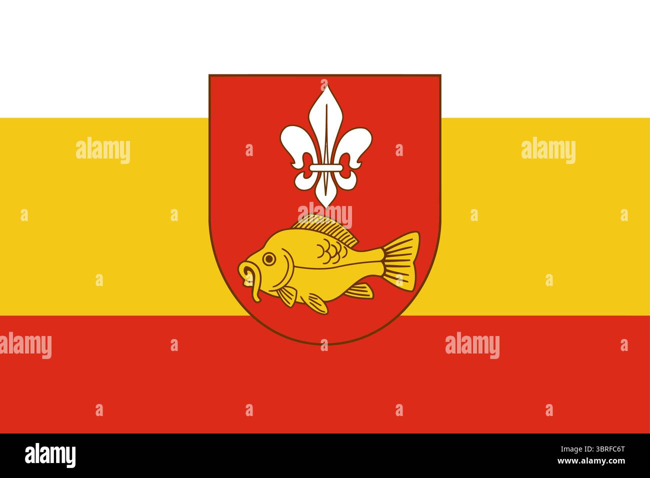 Flag of Shepetivka District, Khmelnytskyi Oblast, Ukraine — historical ...
