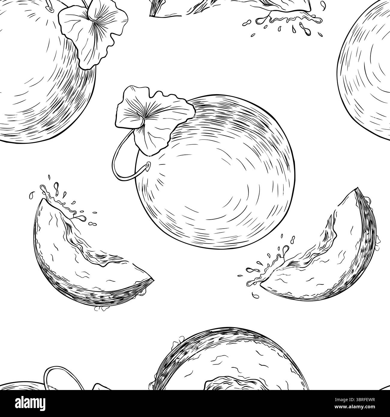 The melons Black and White Stock Photos & Images - Alamy